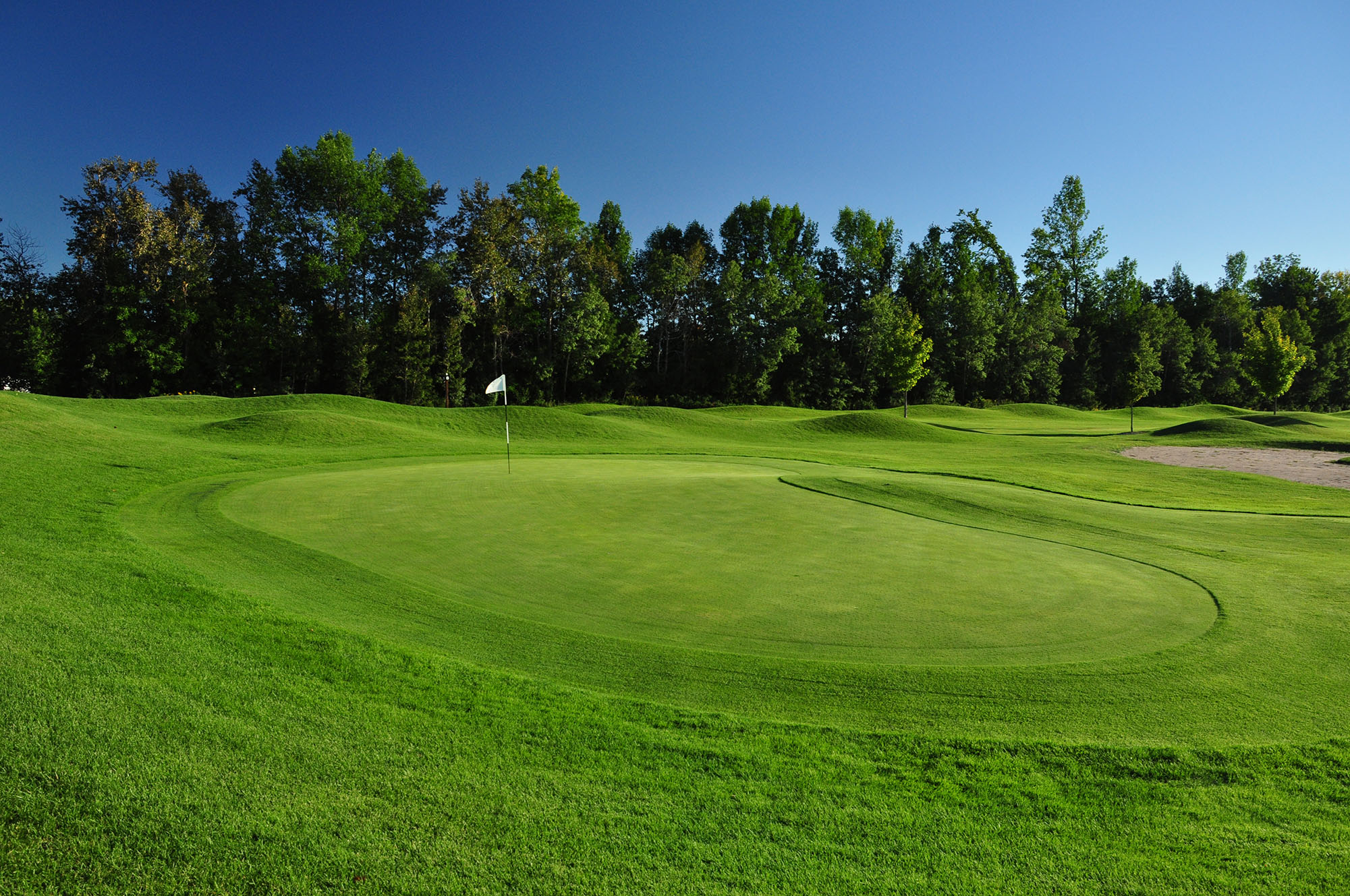 Civic Holiday - Innisfil Creek Golf Course